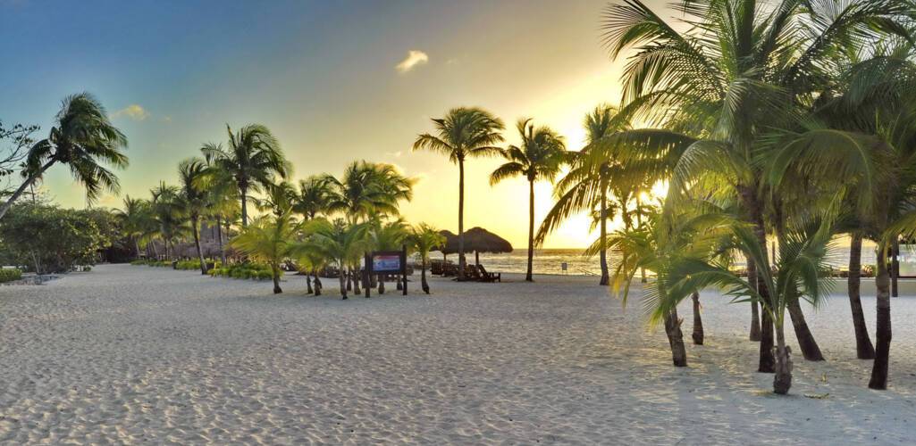 Caribbean: Harvest Caye, Cozumel & Roatan from Miami (7 nights) | 31 ...