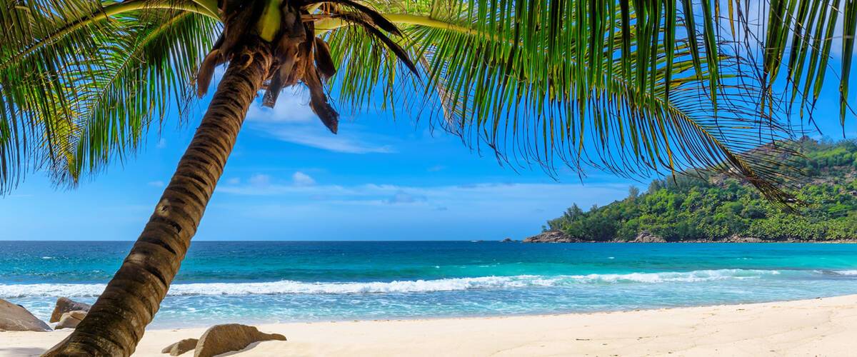 Caribbean Celebration (13 nights) | 21 Dec 2027 | Queen Mary 2 ...