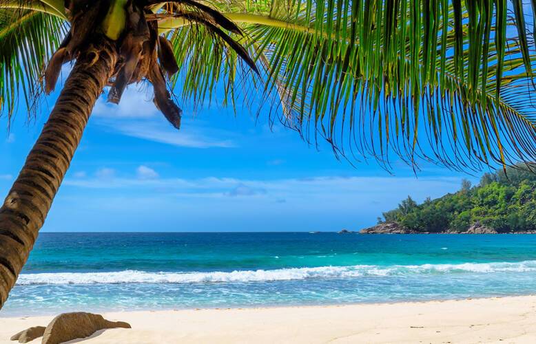 Caribbean Celebration (13 nights) | 21 Dec 2027 | Queen Mary 2 ...